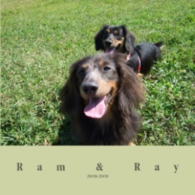 Ram&Rayの作品 「Ram & Ray」 | フォトブック・フォト（写真）アルバム作成ならPhotoback